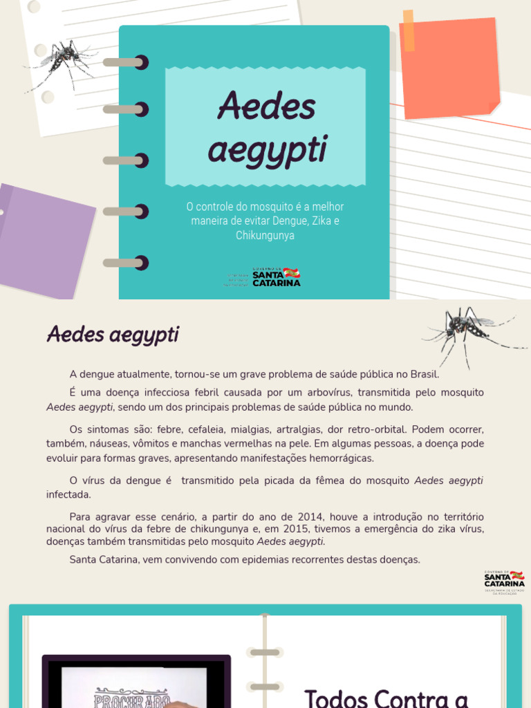 Aedes aegypti | PDF | Aedes aegypti | Vírus da Zika
