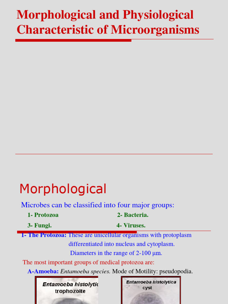 Microbial Morphology & Physiology Guide | PDF | Bacteria | Cell Membrane