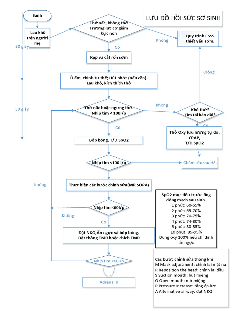 Luu Do HSSS 2017 | PDF
