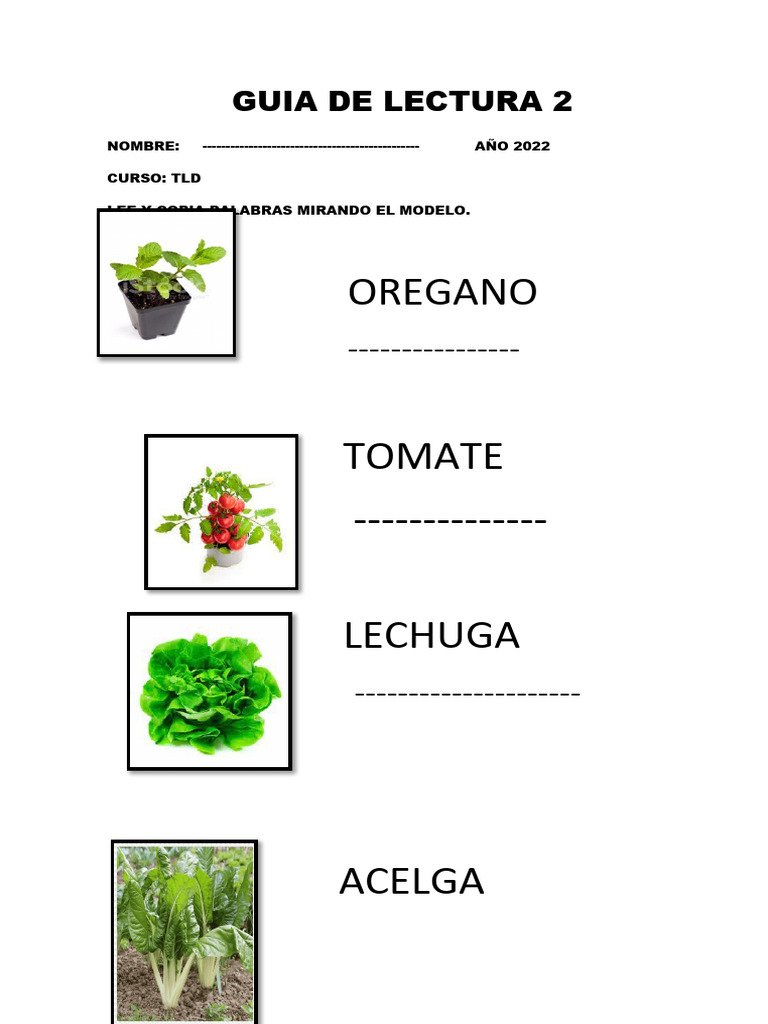 lechuga | PDF