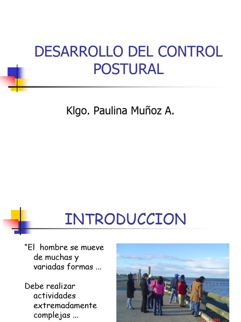 Mecanismo Del Control Postural | PDF | Músculo