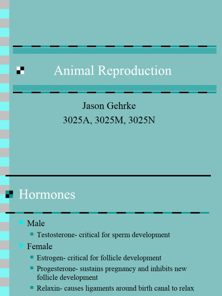 Animal Reproduction and AI Techniques | PDF | Reproductive System ...