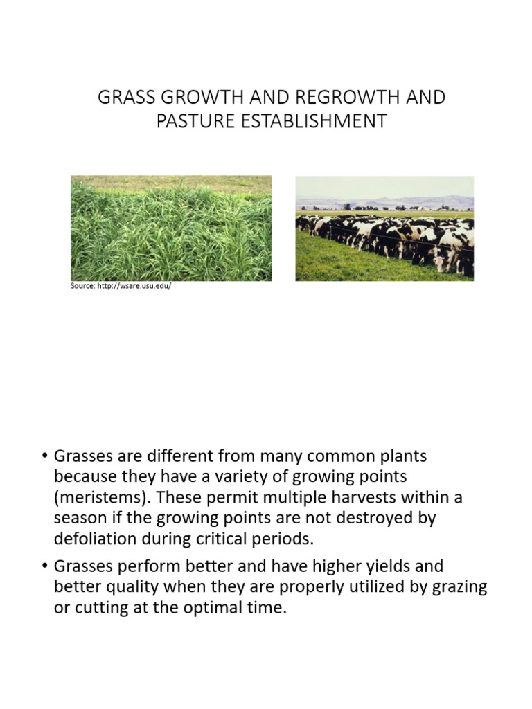 GRASS GROWTH AND REGROWTH AND PASTURE ESTABLISHMENT-ok | PDF | Root | Leaf