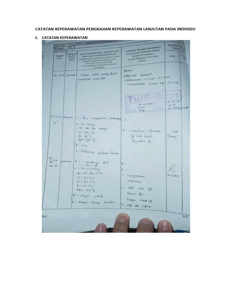 Laporan Pengkajian Keperawatan Lanjutan Pada Individu | PDF