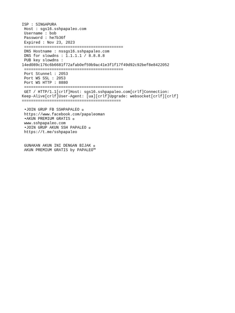 SSH SLOW DNS SG v85 | PDF