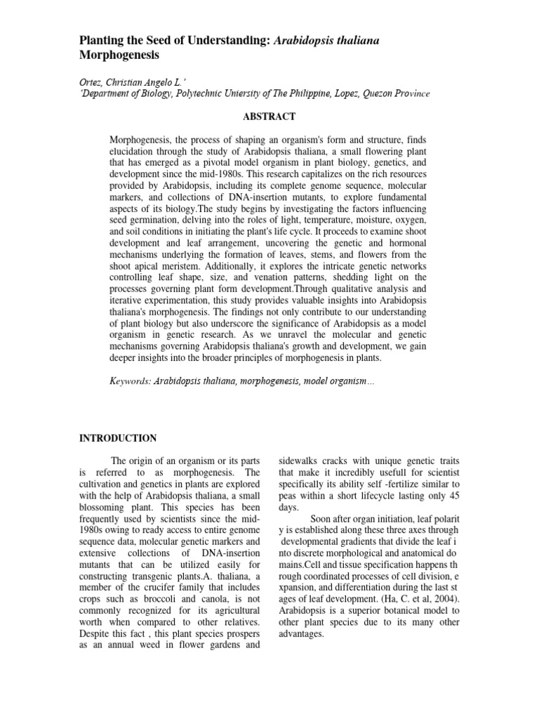 Arabidopsis-Thaliana ORTEZ | PDF | Arabidopsis Thaliana | Seed