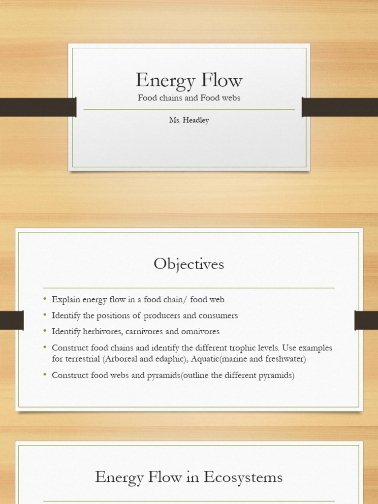 Energy Flow - Food Chains and Food Webs | PDF | Food Web | Foods