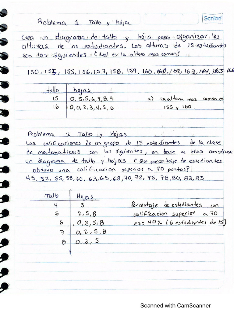 1.2 - Problemas de Tallo de Hoja e Histograma | PDF