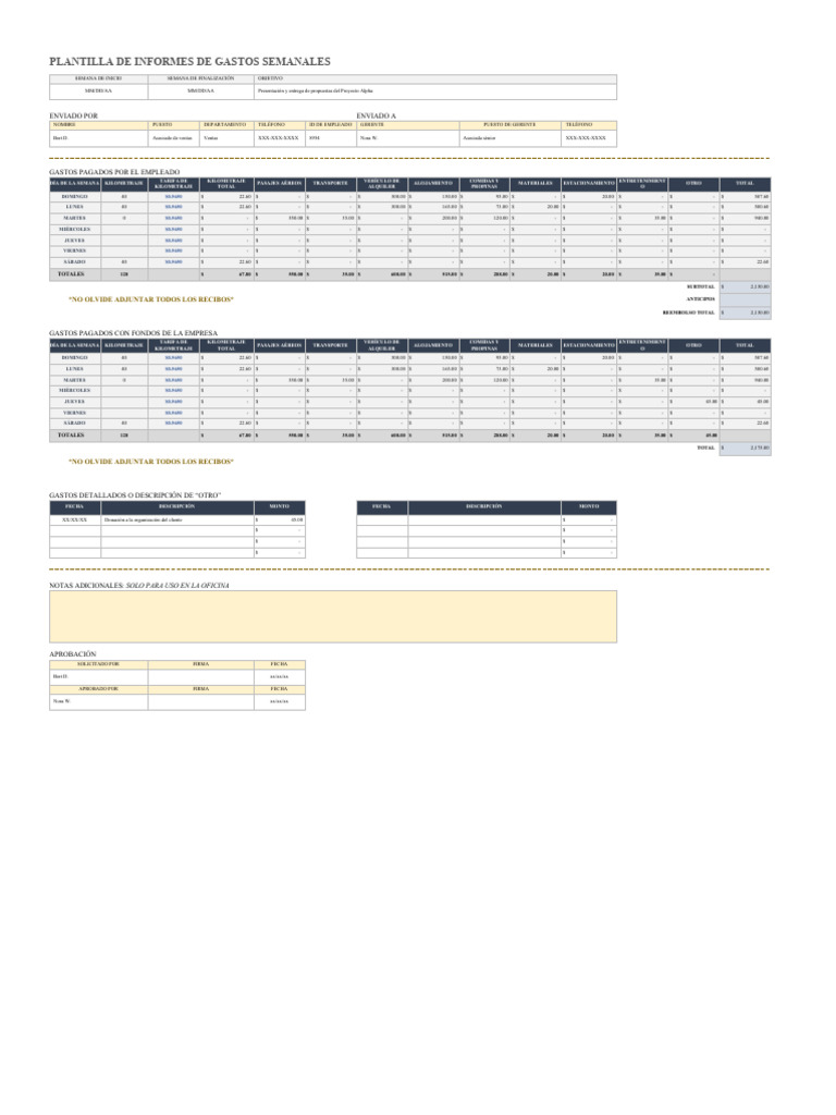IC Weekly Expense Report 11656 ES | PDF