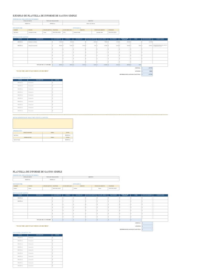 IC Simple Expense Report Example 11656 ES | PDF