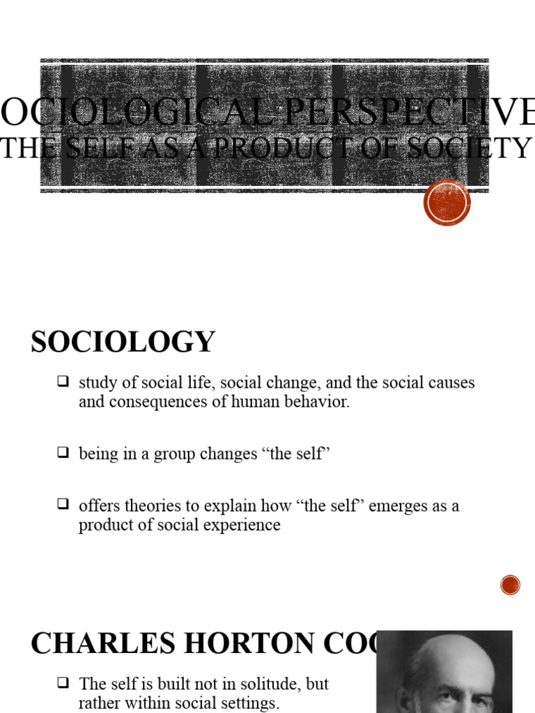 Chapter 2.5 Sociological Perspectives | PDF | Self Concept ...
