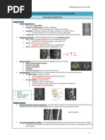 Osteofitos y su Impacto Clínico | PDF | Hueso | Sistema musculoesquelético
