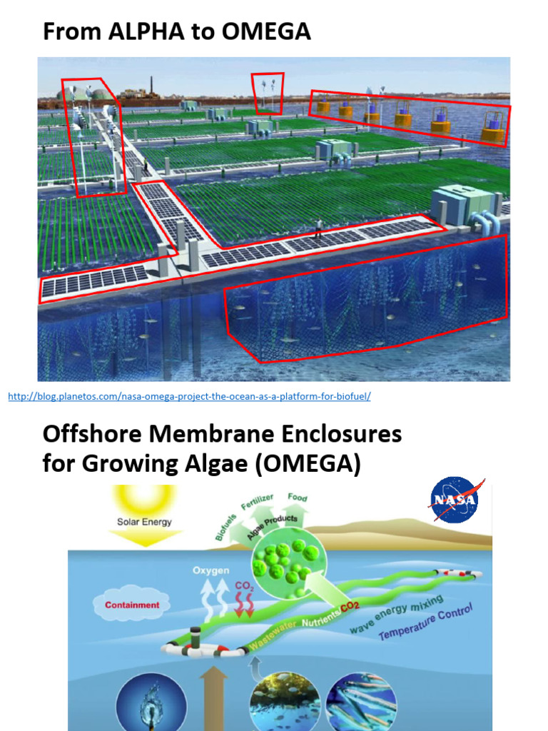 Offshore Algae Cultivation | PDF | Algae Fuel | Biofuel