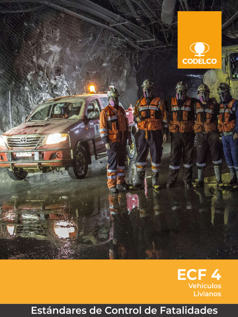 ECF 4 - Compressed | PDF | Neumático | Licencia de conducir