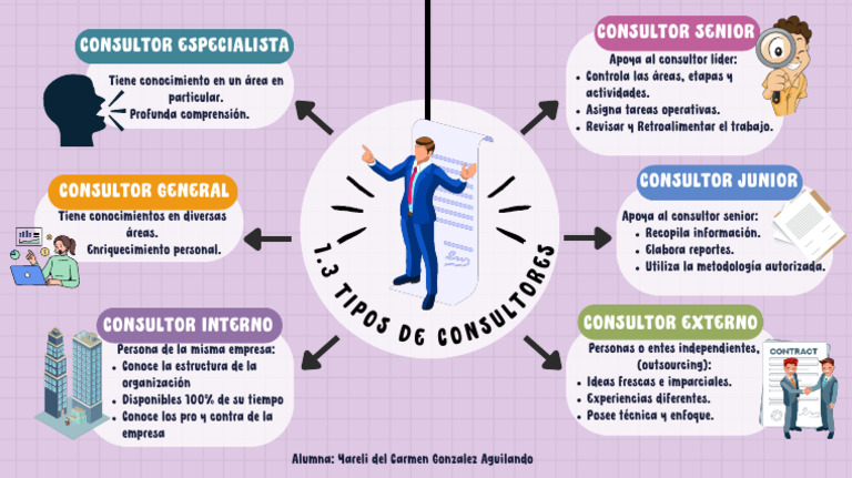1.3 Tipos de Consultores | PDF