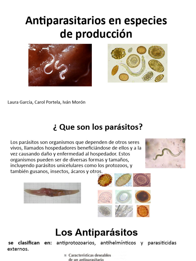 Antiparasitarios en Especies de Producción.. | PDF | Parasitismo | Biología