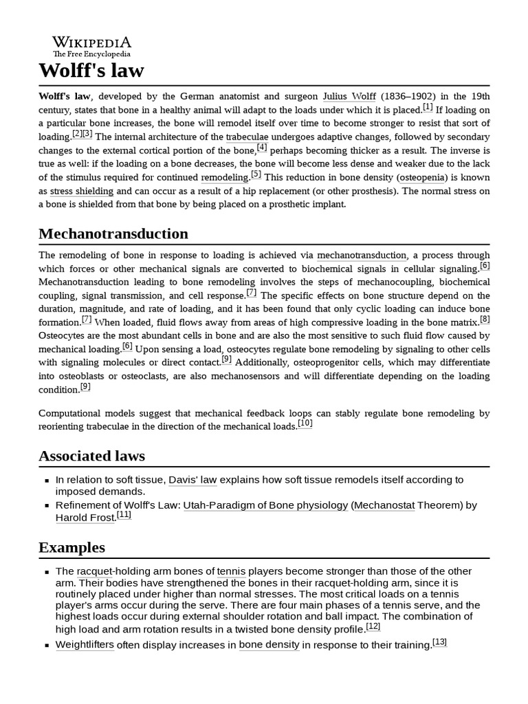 Wolff's Law | PDF | Tissue (Biology) | Skeletal System