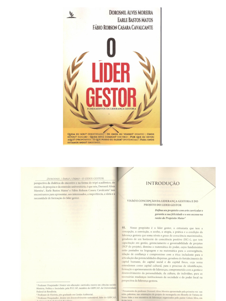 O Lider Gestor | PDF