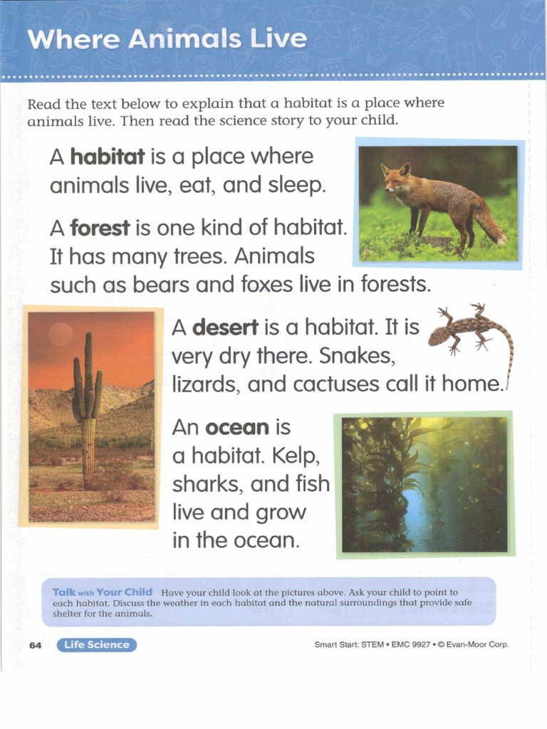 08 Where Animals Live | PDF
