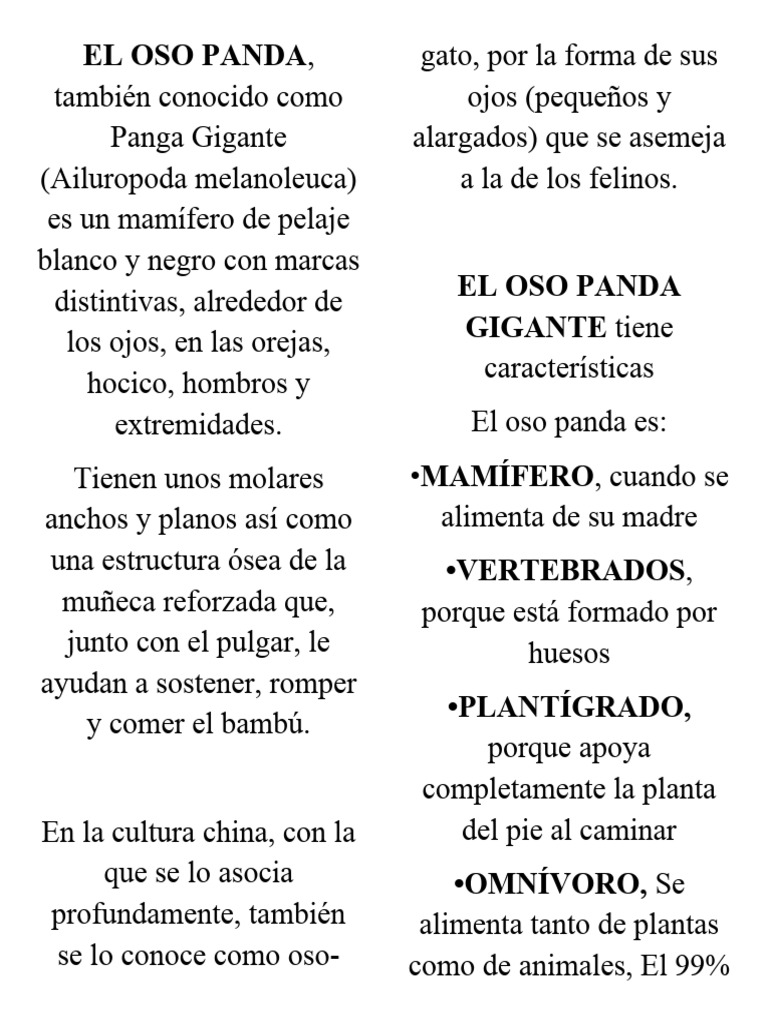 El Oso Panda | PDF