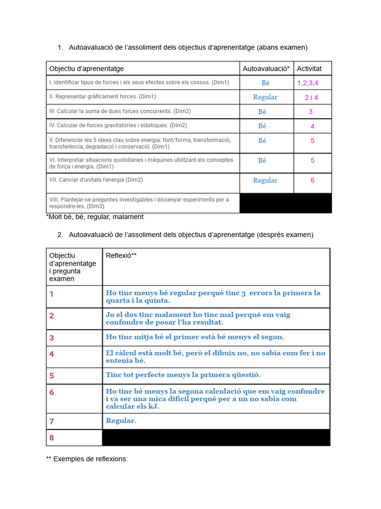 Pauta Reflexió Aprenentatge Matèria | PDF