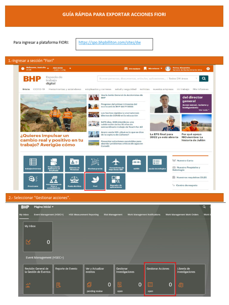 Guia Rápida Fiori Exportación Acciones | PDF