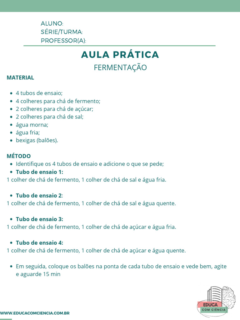 Roteiro-de-aula-pratica-fermentacao-estudante | PDF