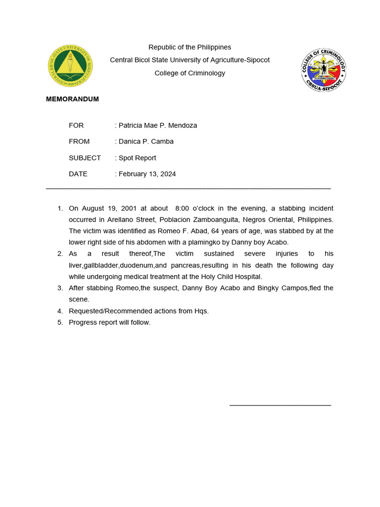 Report DC | PDF | Law Enforcement | Crime & Violence