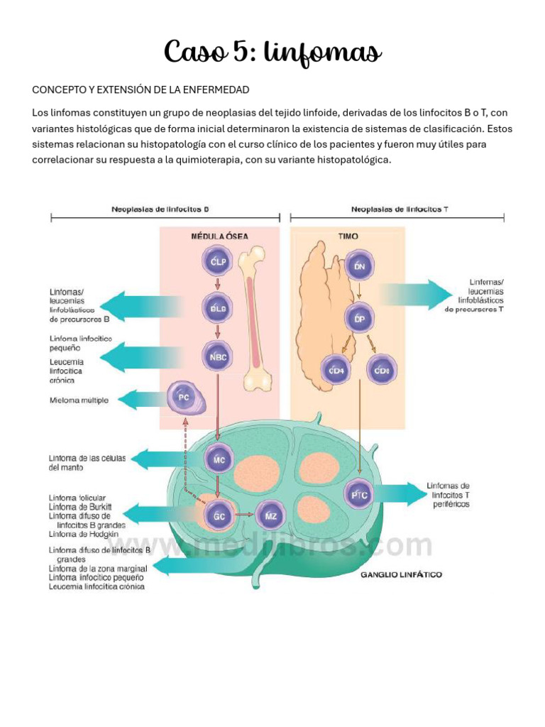 Caso 5 - Linfomas Final | PDF | Linfoma | Medicina