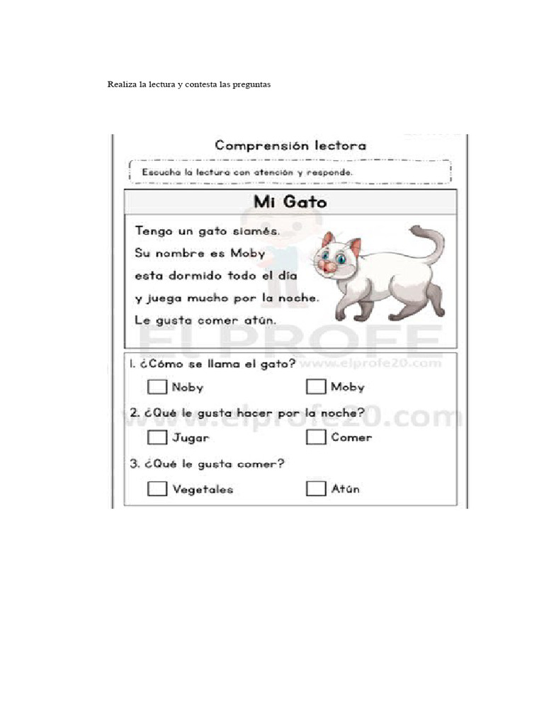 1° Quiz Plan Lector | PDF