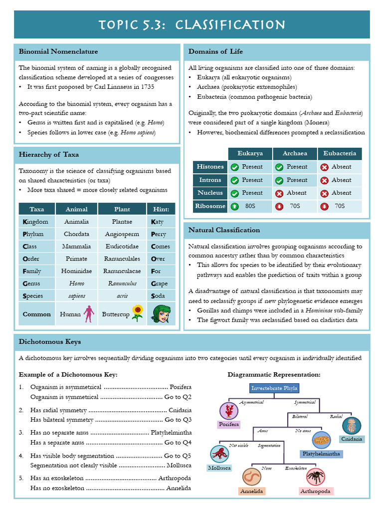 5.3 Classification | PDF | Taxonomy (Biology) | Organisms