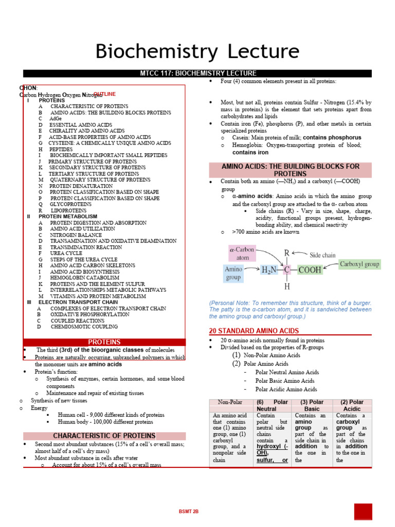 Biochem Etc Proteins | Download Free PDF | Amino Acid | Proteins