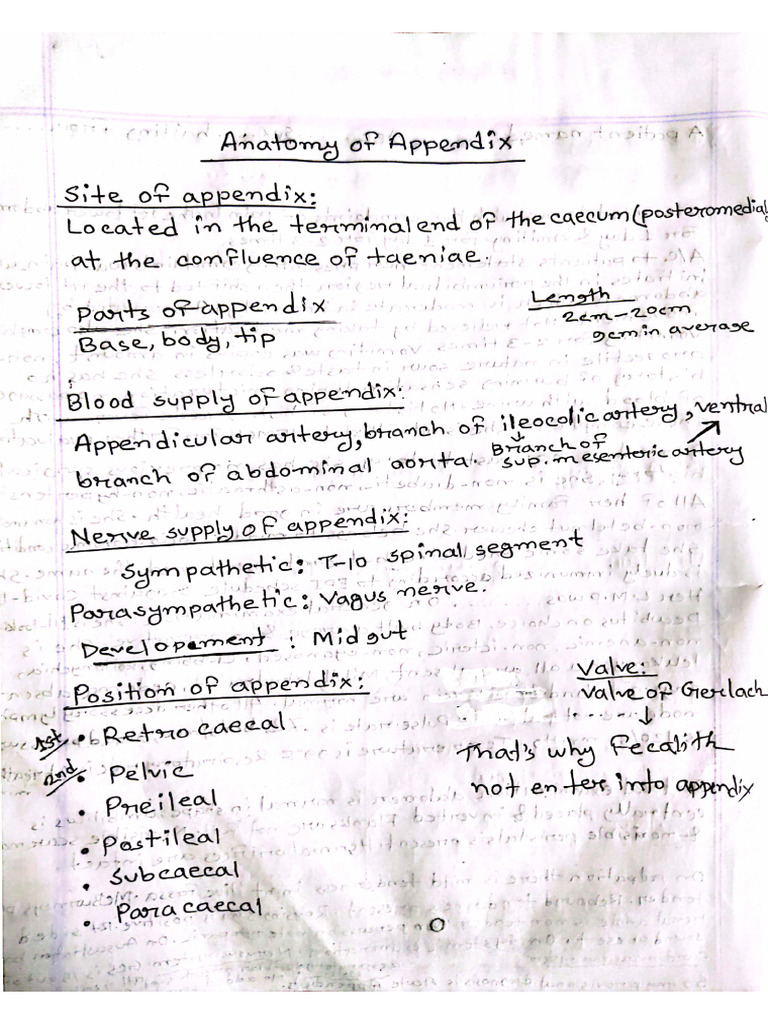 Acute Appendicitis, Lump, Abscess | PDF