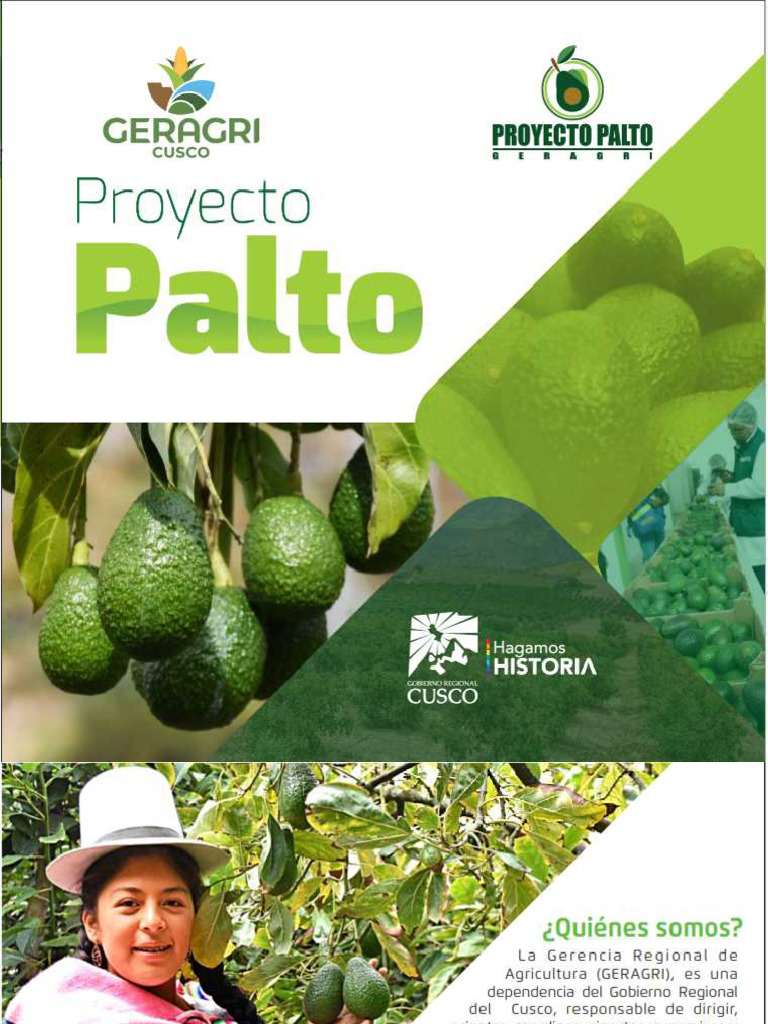 Proyecto Paltos | PDF