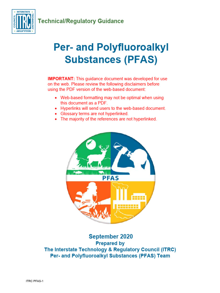 Itrc Pfas-1 092020 | PDF | Isomer | Molecules
