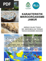 Perbedaan Kapang Dan Khamir (Mould and Yeast) | PDF