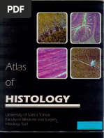 BIONETWORK Virtual Microscope Guide | PDF | Optical Devices | Microscopy