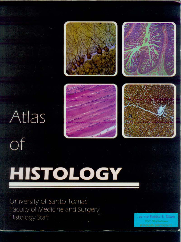 UST Histology Atlas | PDF