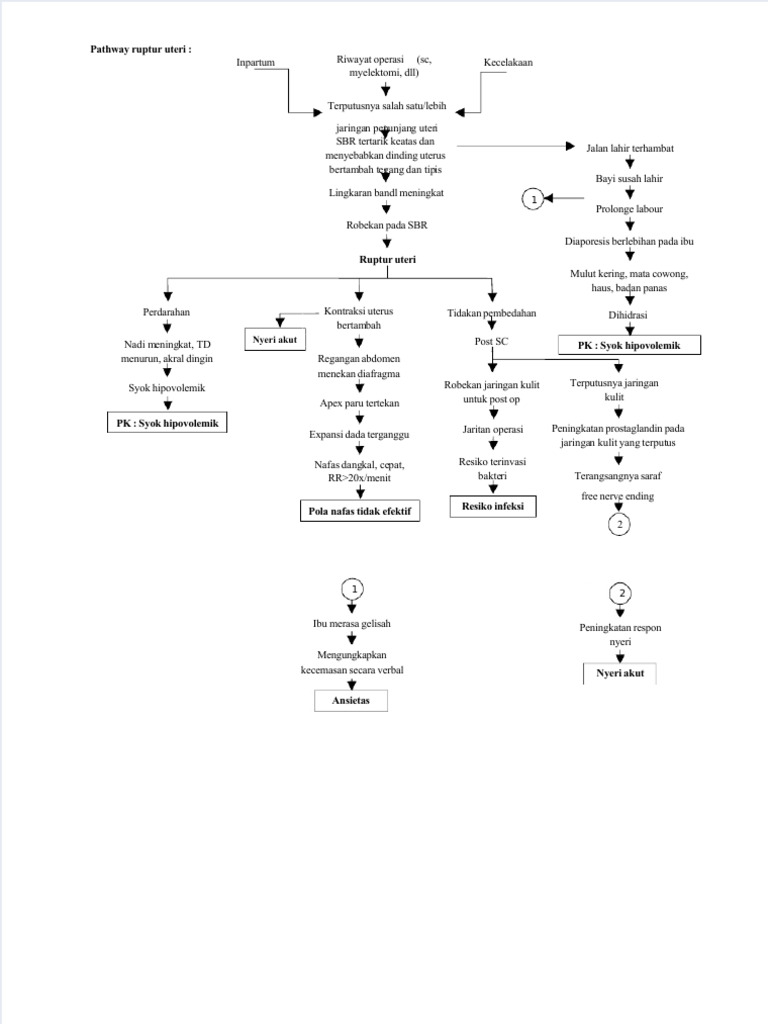 Dokumen - Tips - Pathway Ruptur Uteri | PDF
