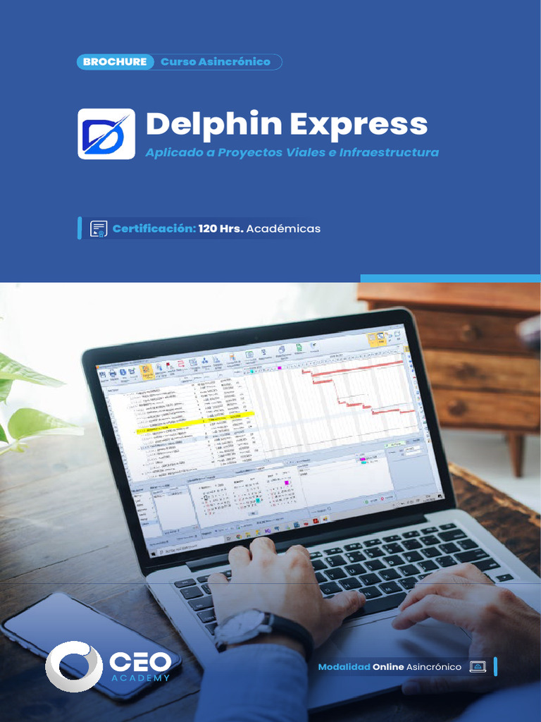 Brochure - Delphin Express - Aplicado A Proyectos Viales e ...