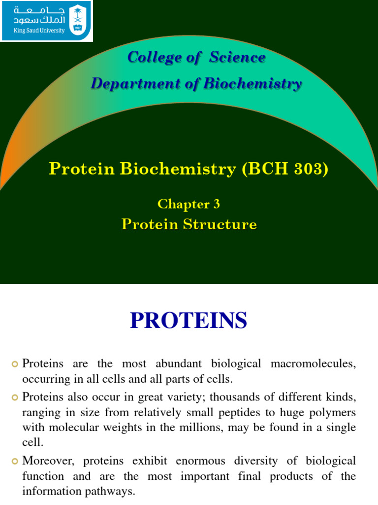 3-Bch303 Chapter3 Protein Structure and Function | PDF | Protein Structure | Beta Sheet