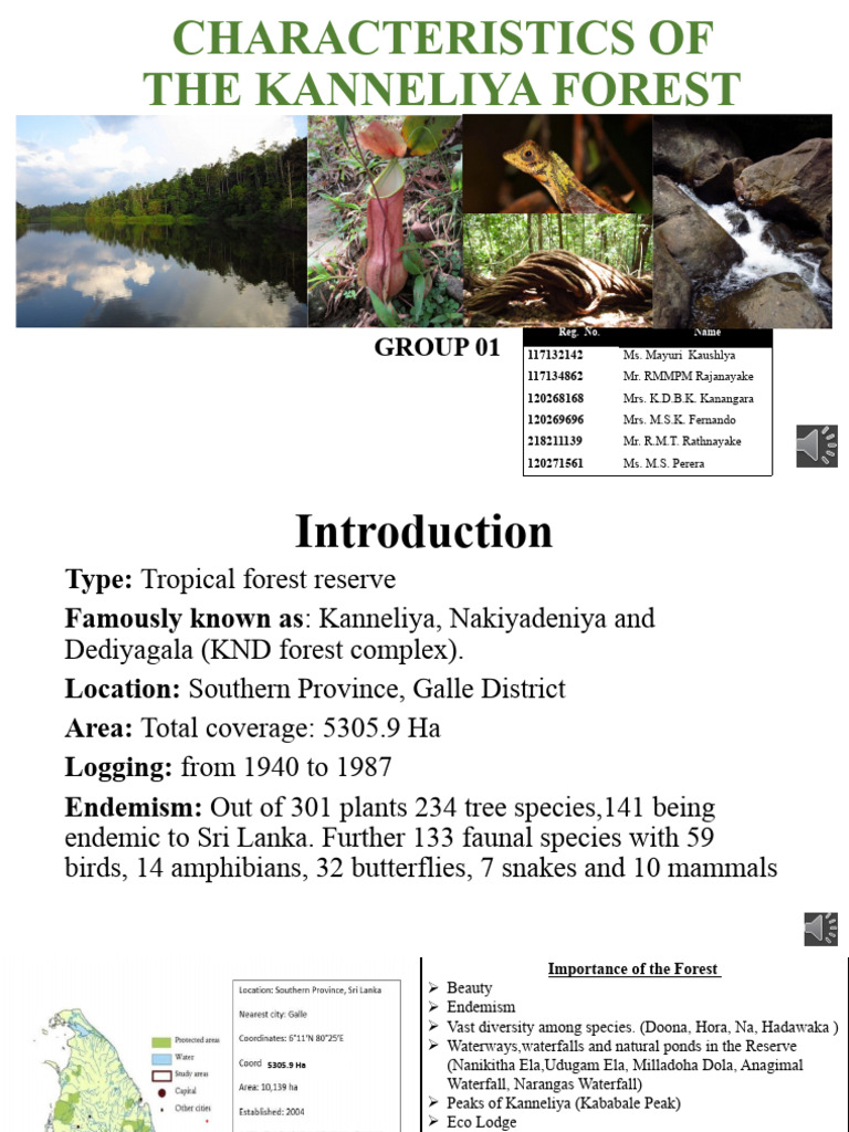 Group 01 - Characteristics of Kanneliya Rain Forest | Download Free PDF | Canopy (Biology ...