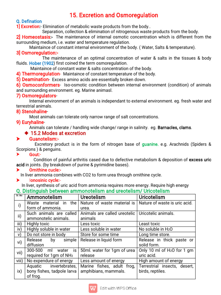 Excretion and Osmoregulation Guide | PDF | Kidney | Organ (Anatomy)