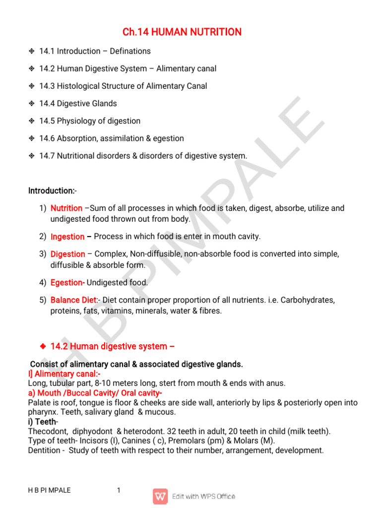 Ch.14 Human Nutrition | PDF | Digestion | Stomach