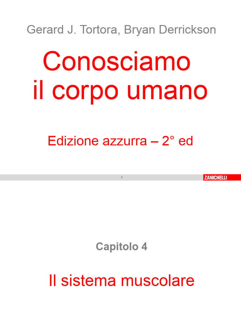 Tortora PPT 32053 c04 | PDF