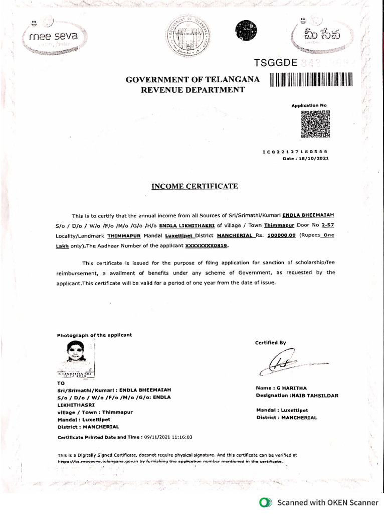 Income Certificate | PDF