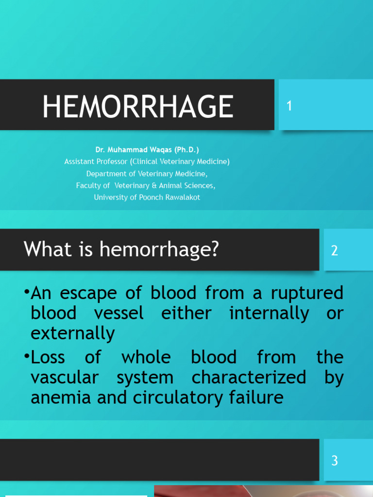 Hemorrhage | PDF | Bleeding | Anemia