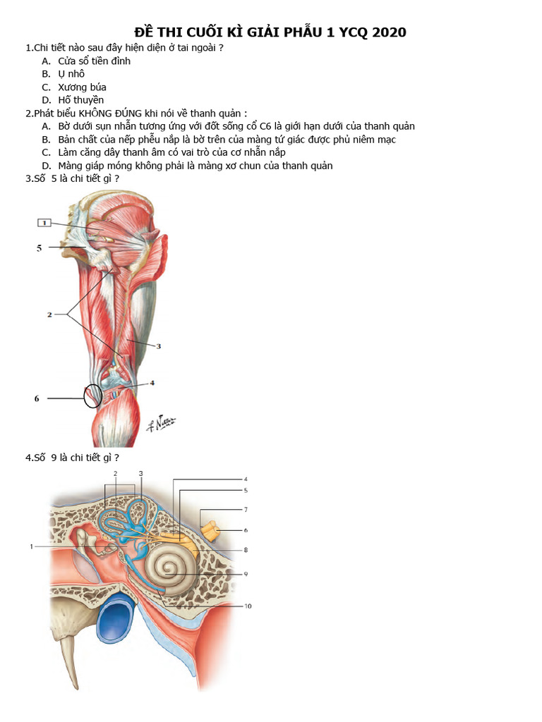 (Ko Đá) Ycq2020-Ck-Gp1 | PDF