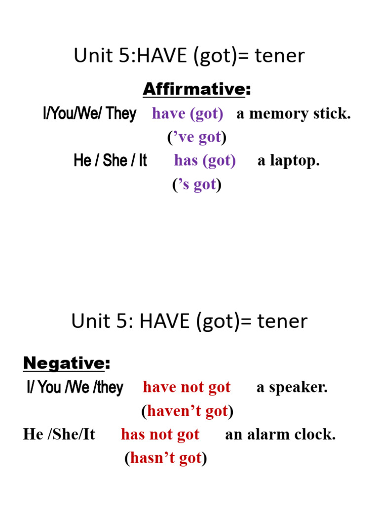 Unit 5 Verb Have Got | PDF