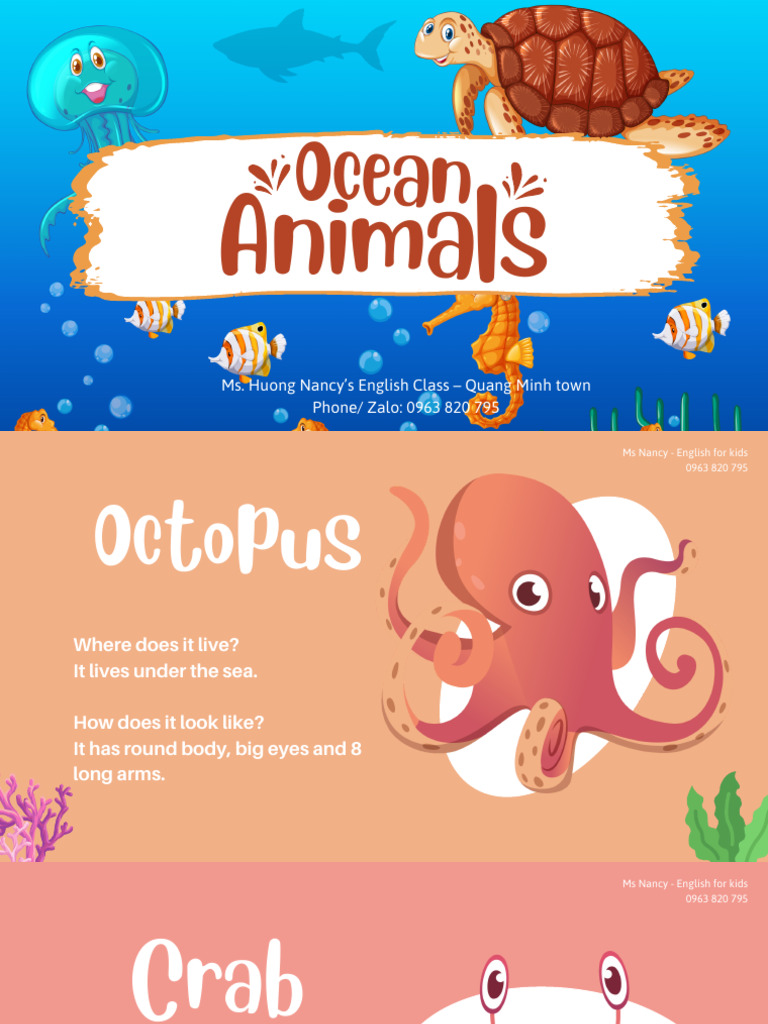 Vocabulary - Ocean Animals | PDF | Art